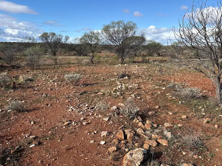 Gold Prospecting Lease - Murchison P 59/2463 - minesforsale.net